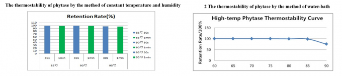 Heat Stable Bacterial Phytase Enzyme With 6-Phytase E.Coli Sources