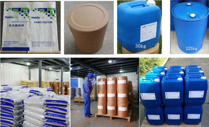 High Activity Protease Enzyme Liquid 400000U Industrial Grade