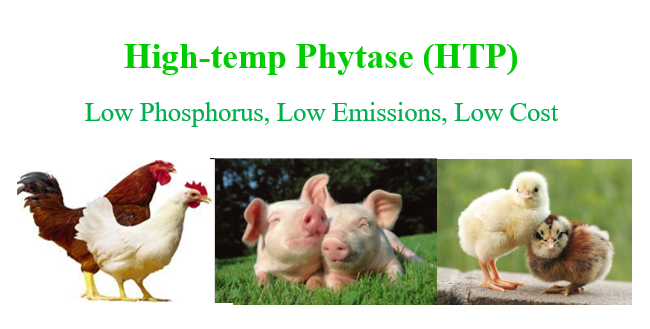 High-Temp Phytase Enzyme Feed Grade Powder/Granule/Liquid Reducing DCP Use