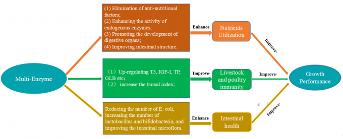 Animal Feed Compound Enzymes NSPase For Livestock And Poultry Nutrition