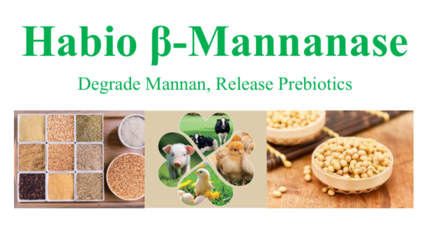 Habio Beta Mannanase Powder / Granule / Liquid / Watersoluble Degrade ...