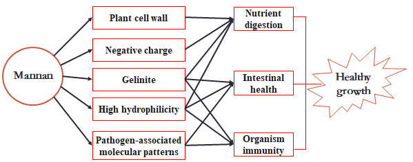 Habio Beta Mannanase In Vitro Enzymatic Hydrolysis Fermentation For ...