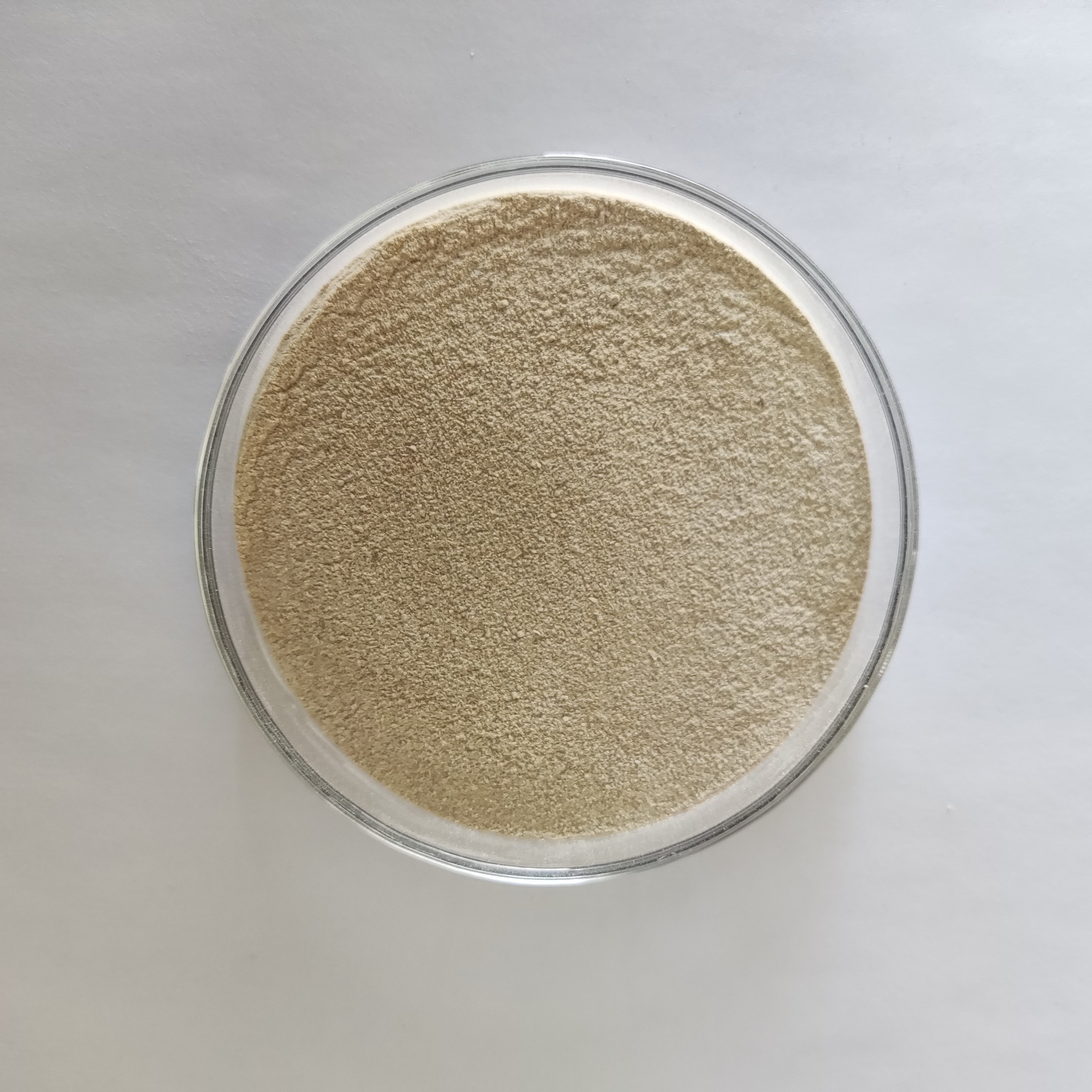 Habio Acid Protease Powder High Efficiency Acid Proteolytic Enzyme 100 ...