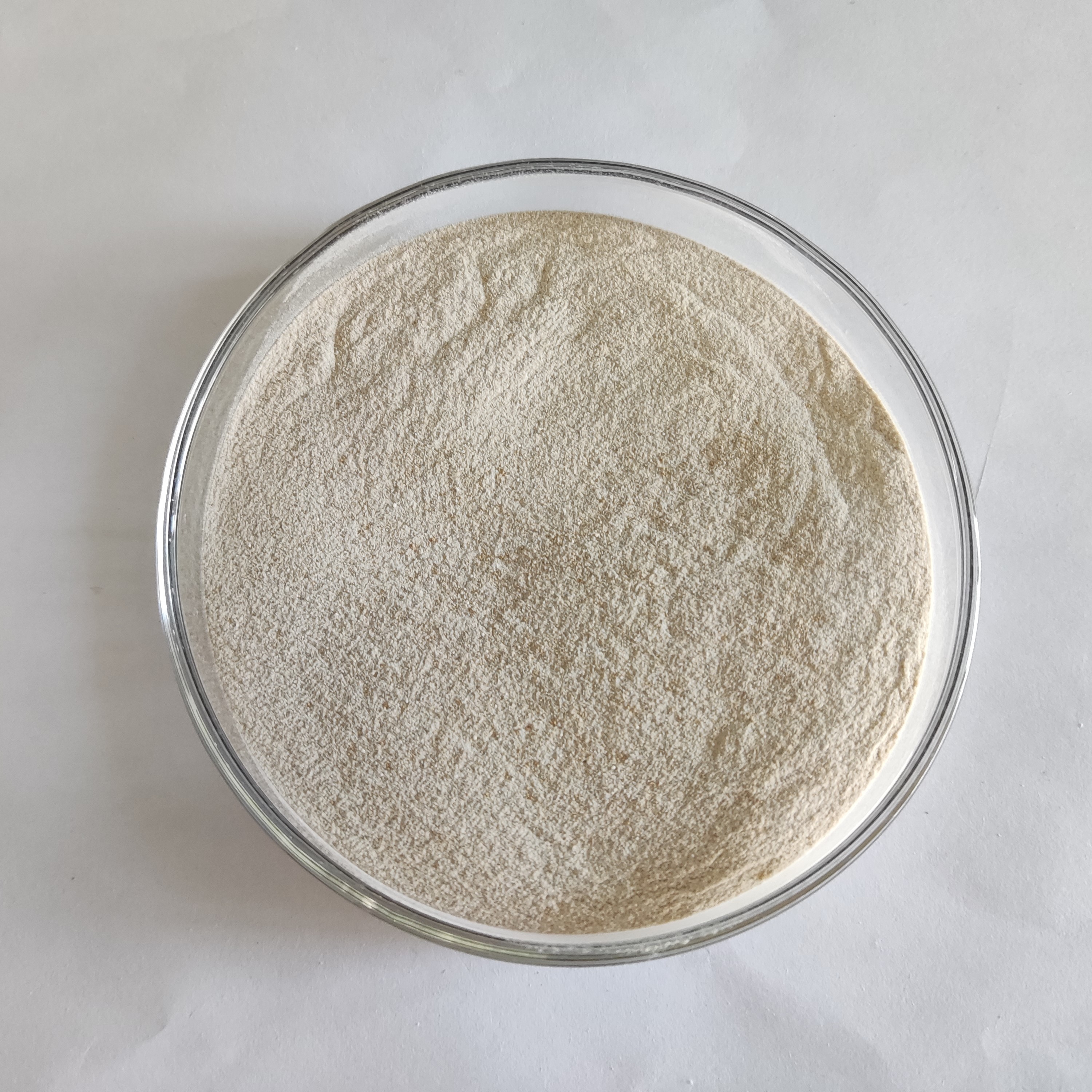 Habio Enzymatic Lipase for Biodiesel & Animal Feed Efficiency